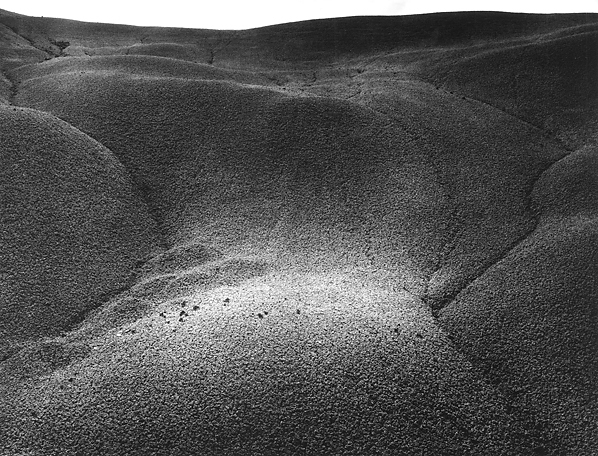 Ansel Adams (1902–1984) | Scott Nichols Gallery