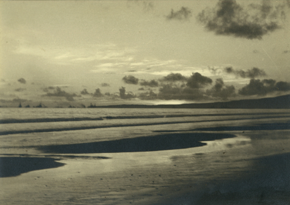 Anne Brigman (1869–1950) | Scott Nichols Gallery