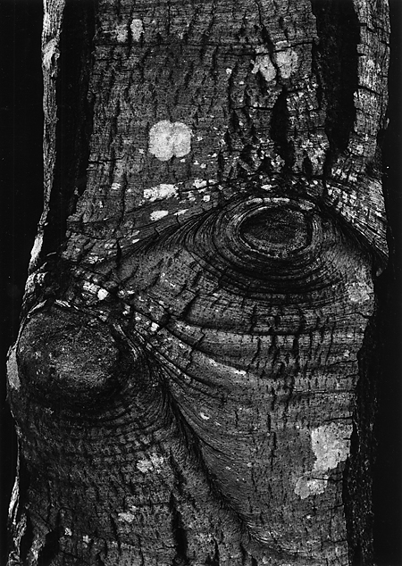 Pirkle Jones (1914-2009) | Scott Nichols Gallery