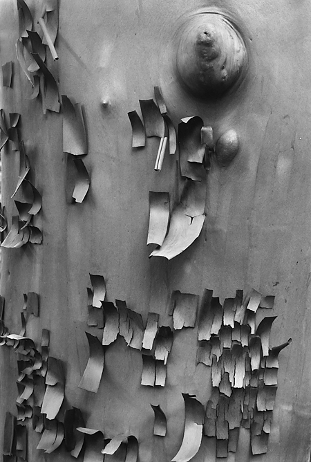 Pirkle Jones (1914-2009) | Scott Nichols Gallery