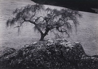 Pirkle Jones - Portfolio Two | Scott Nichols Gallery