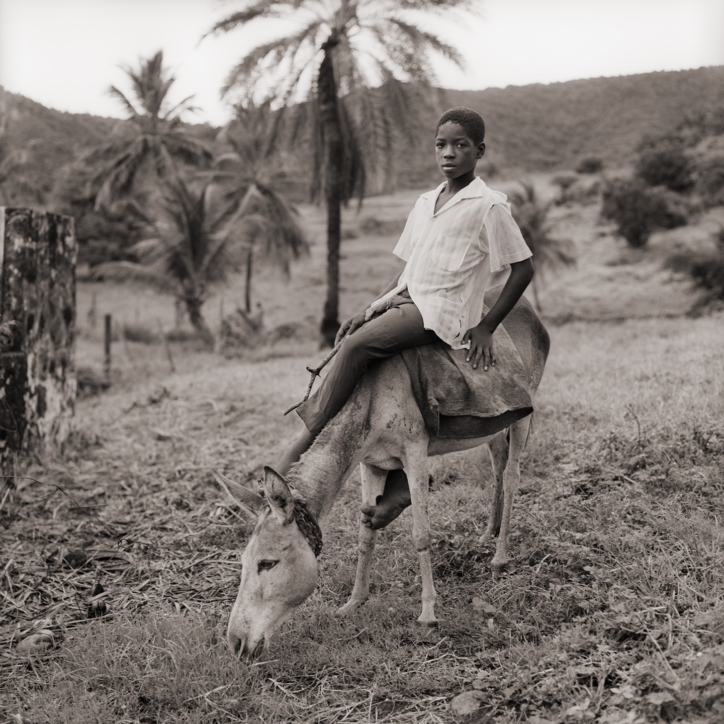 Margo Davis (b.1944) | Scott Nichols Gallery