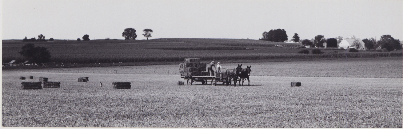 George Tice Amish Portfolio Scott Nichols Gallery