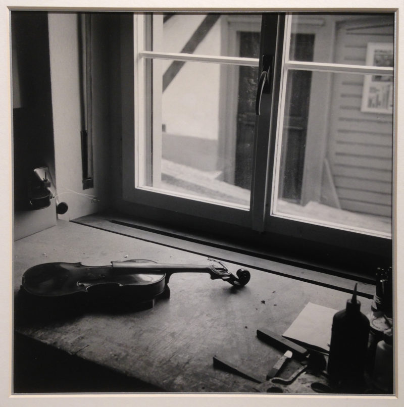 Margo Davis | Scott Nichols Gallery