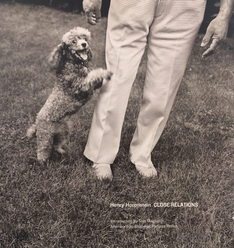 Henry Horenstein | Scott Nichols Gallery