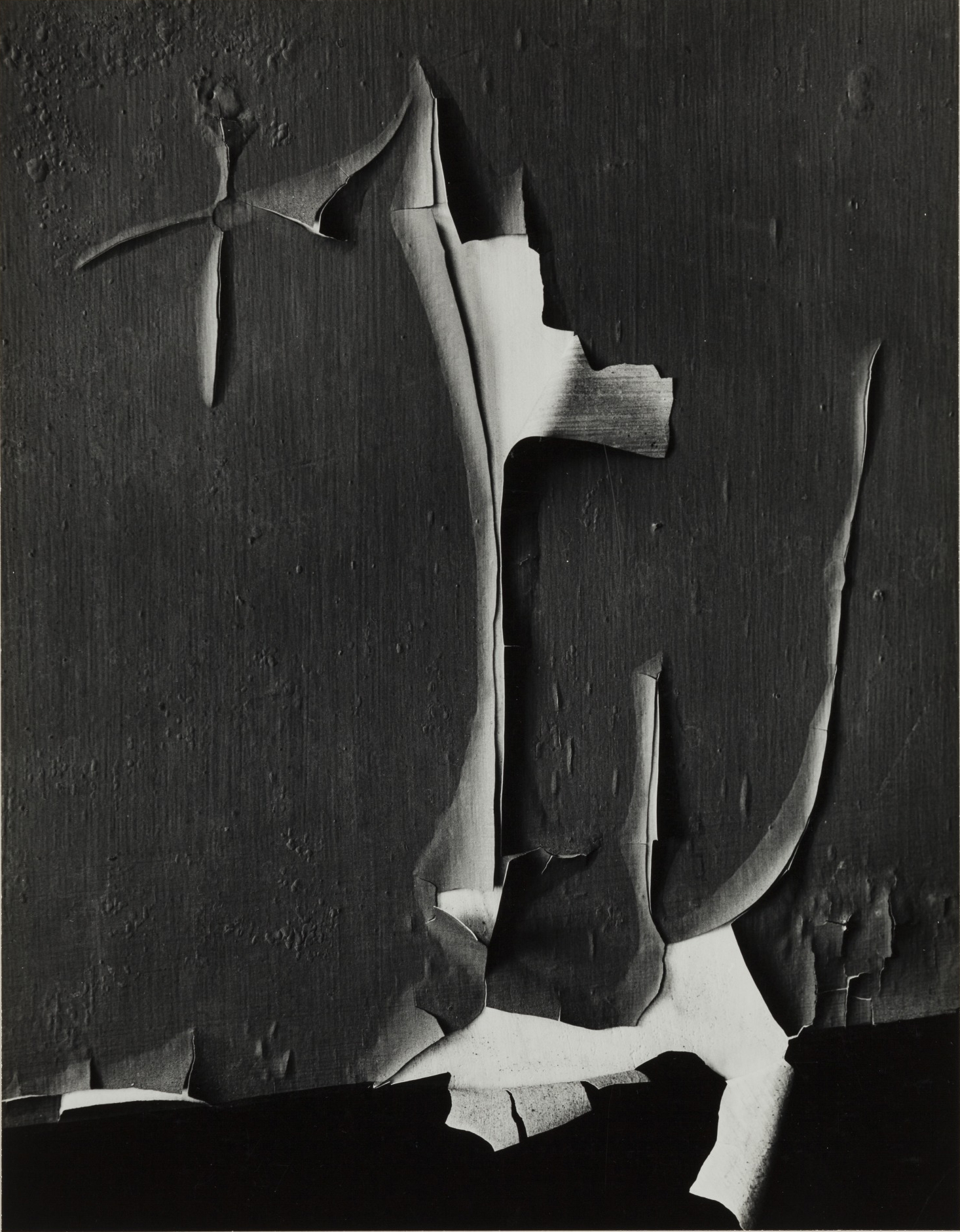 Minor White (1908-1976) | Scott Nichols Gallery