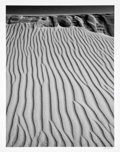 Ansel Adams (1902–1984) | Scott Nichols Gallery