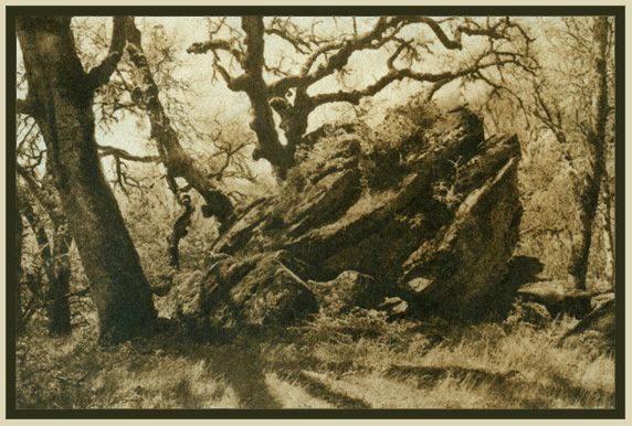 Niniane Kelley | Scott Nichols Gallery